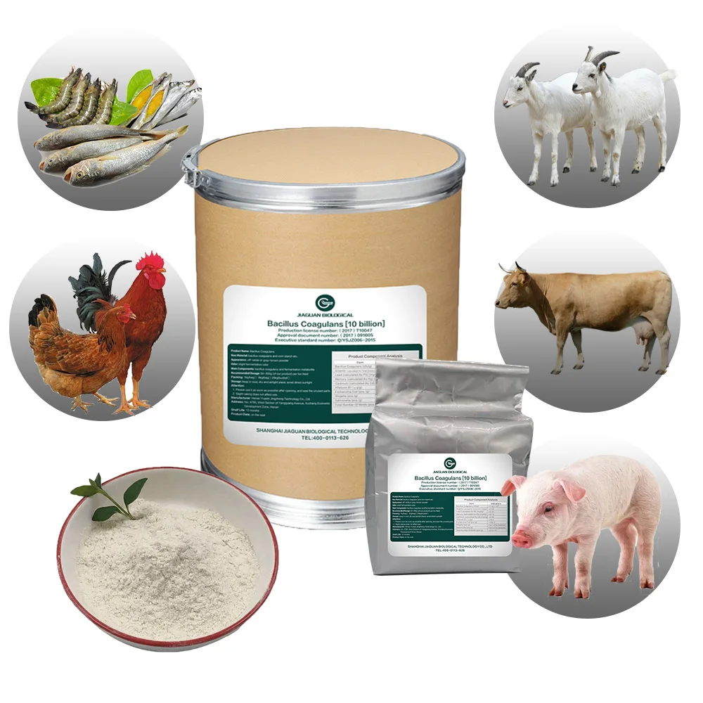 Bacillus Coagulans For Sheep Animal Feed Concentrate Animal Feed Cow ...