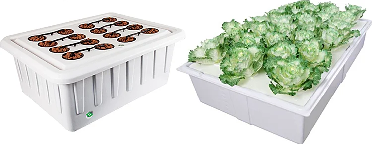 Customizable Hydroponic System Greenhouse Ebb and Flow Trays Hydroponic ...