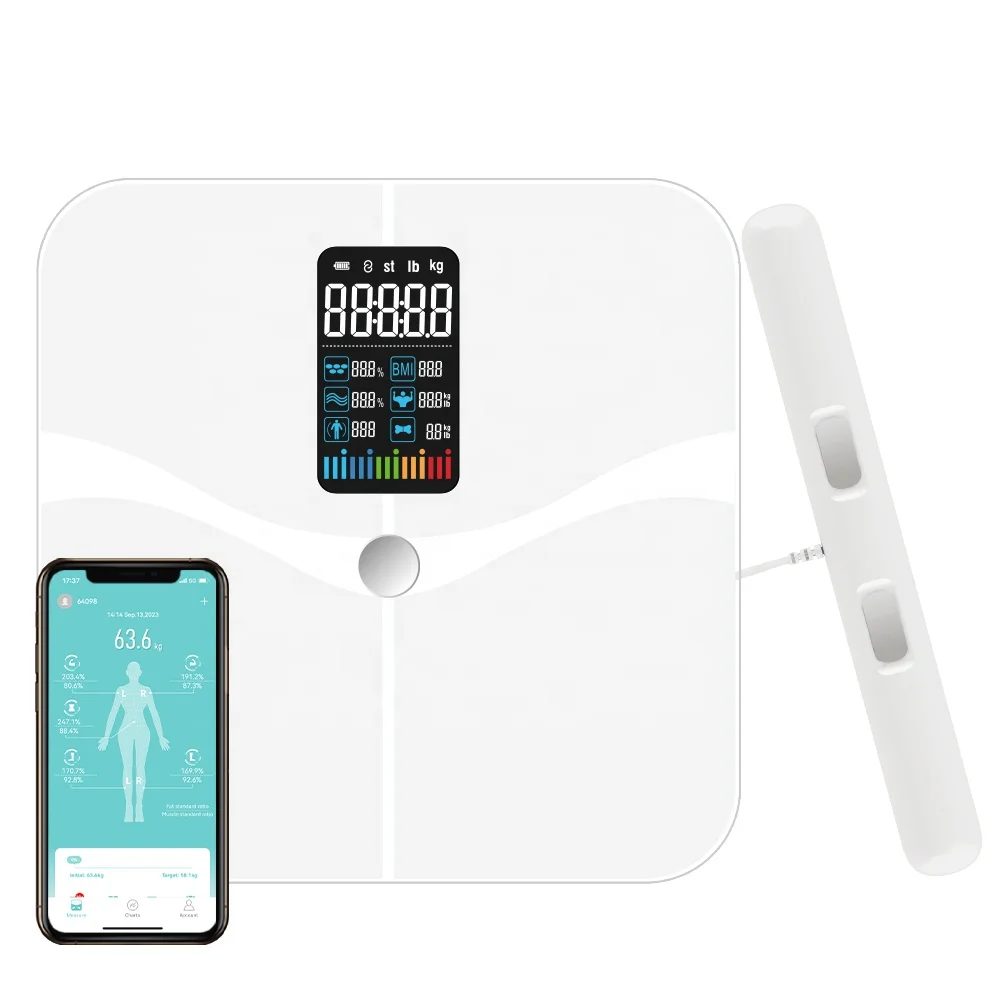 Professional Smart Digital Body Fat Scale 8 Electrodes with Printing ...