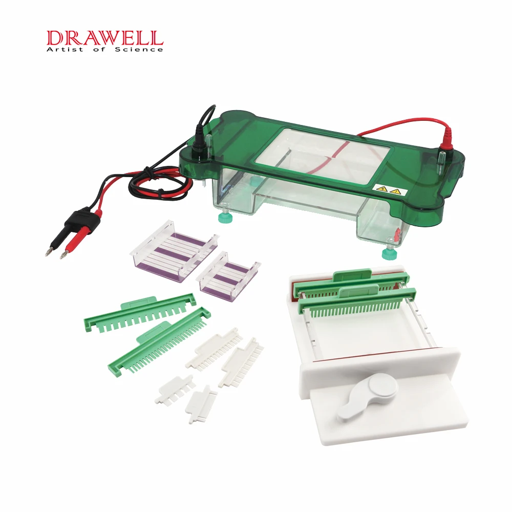 DNA Electrophoresis Analyzer - Horizontal Electrophoresis Tank