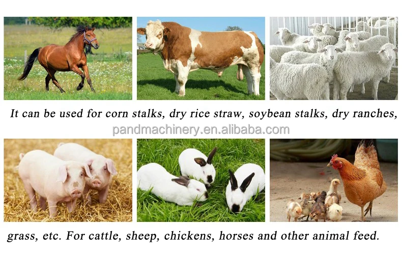 Agriculture farm napier grass chopper machine for cutting grass machine ...