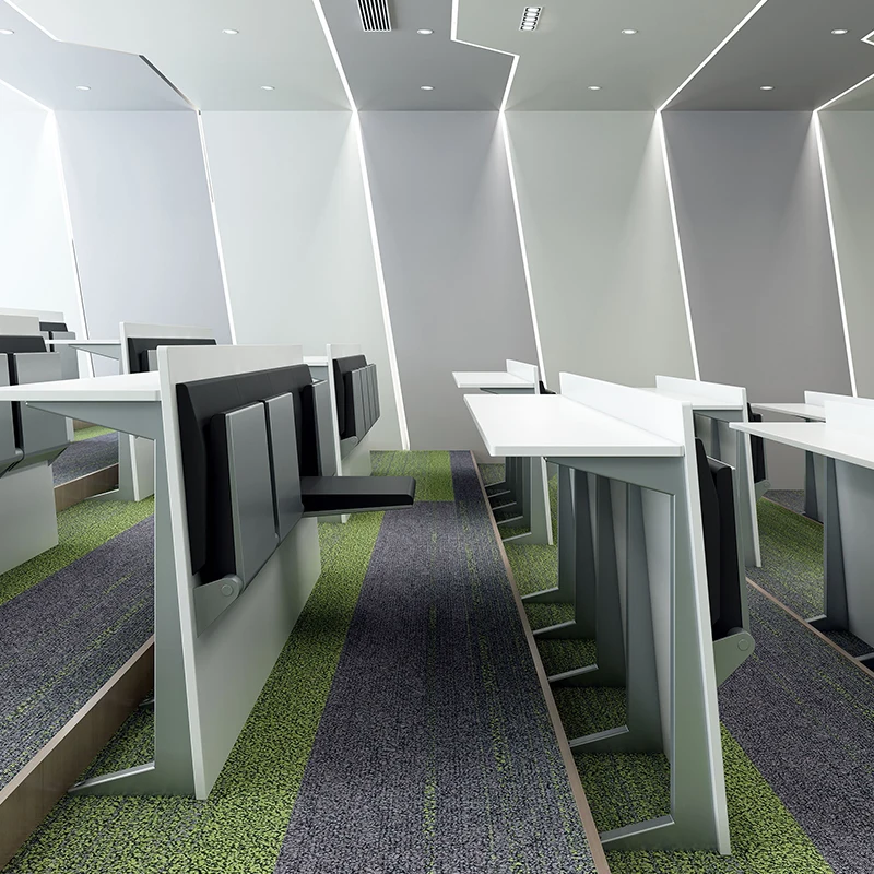 Modern College University Lecture Hall Auditorium Chairs