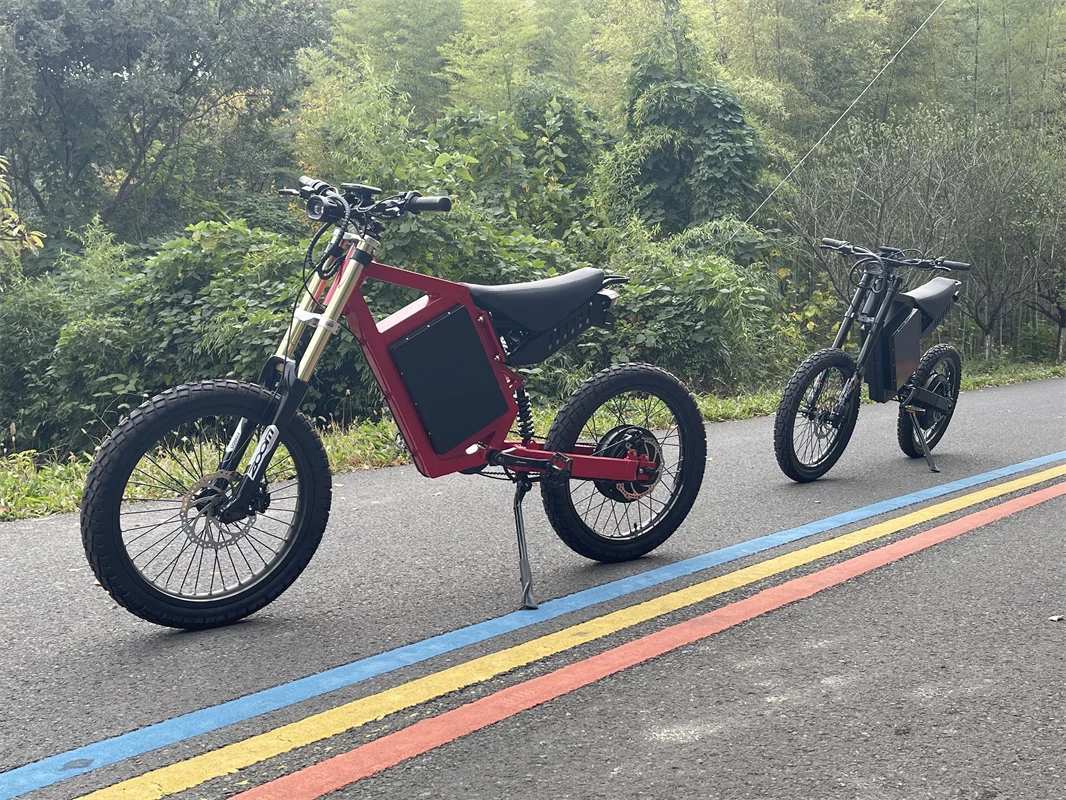 2024 CS20 Electric Bike - High Power & Speed for Adults