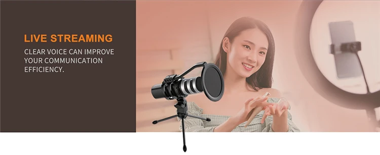 BKD-10 Professional Studio Recording Microphone - Cardioid Condenser