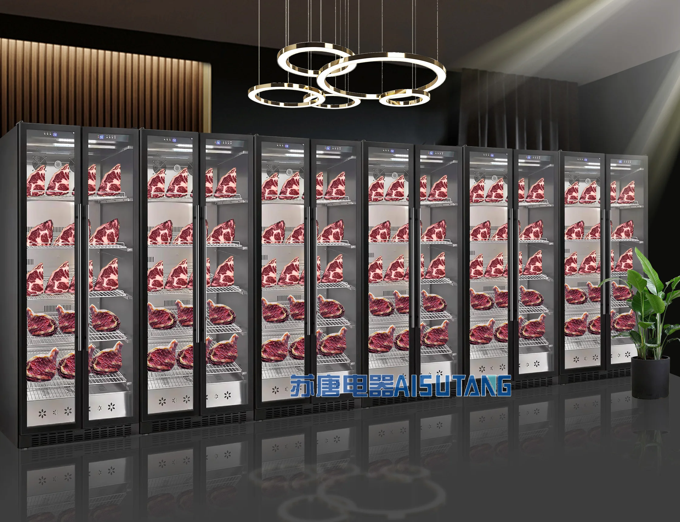 Home Stainless Steel Beef Dry Ager Mature Beef Fridge Refrigerator ...