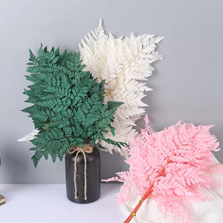 High Quality Real Preserved Flower Natural Dried Fern Leaf Dried ...
