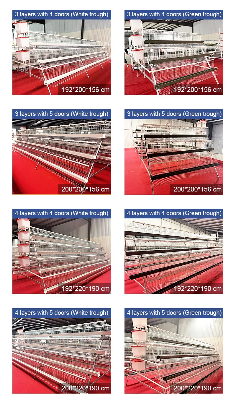 Poultry Cage - Automatic Chicken Cages for Poultry Farms