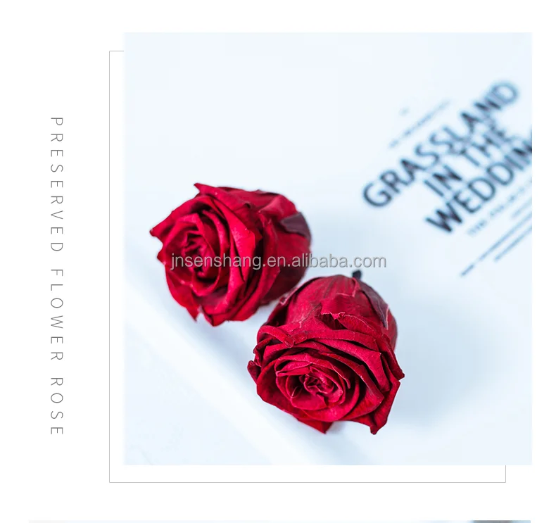 High Quality Preserved Roses 2-3 Cm Forever Roses Preserved Roses - Buy ...