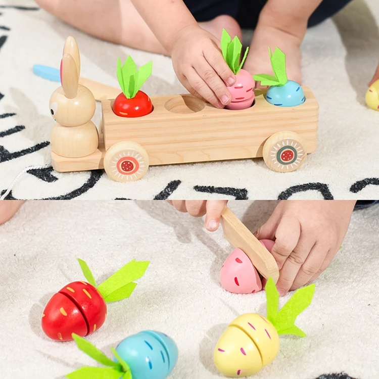 Hoye Crafts Cartoon Fruit Matching Toy Wooden Cutting Toy Rabbit Panda ...