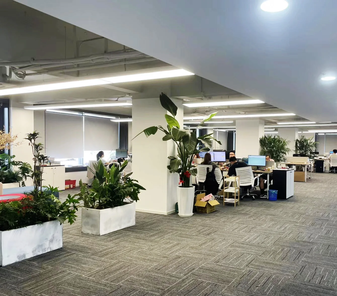 Changli Electric Car 3 Seats Closed Cabin Made In China Electric ...