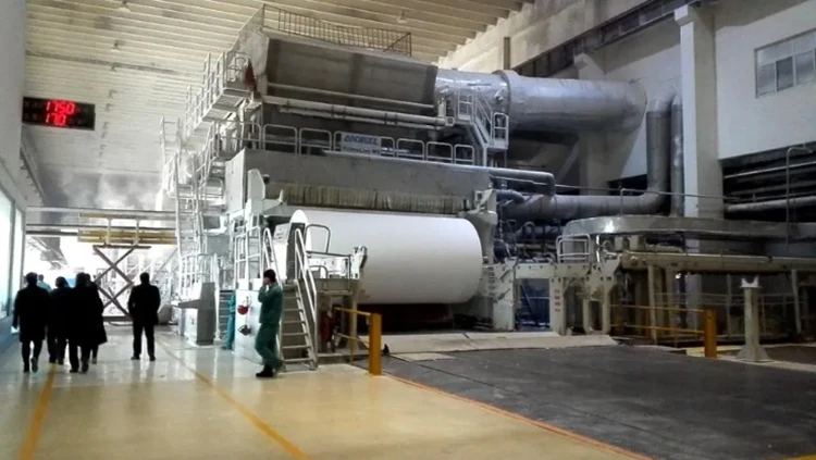 Rmois Soft Toilet Paper Tissue Raw Material Bathroom Tissue Toilet Use ...