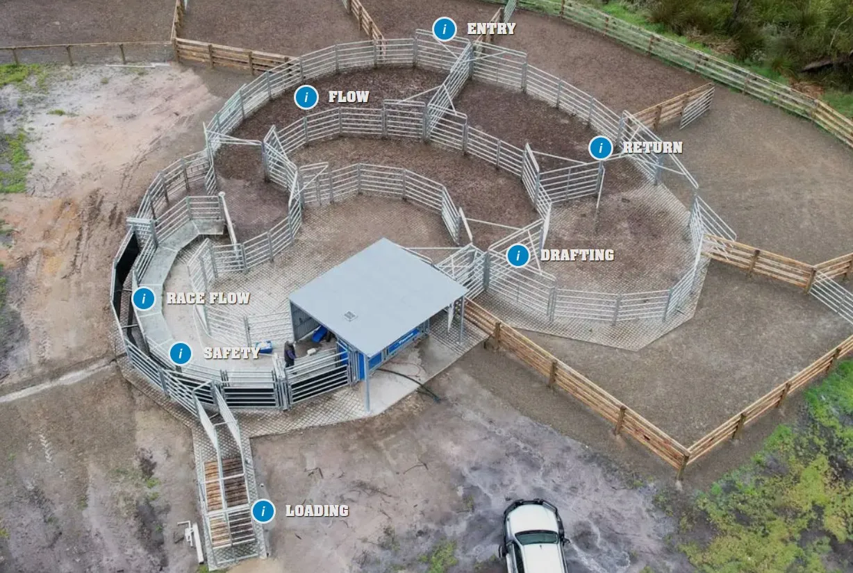 High Quality Cattle Panel / Portable Yard Fencing And Yard Gates For ...