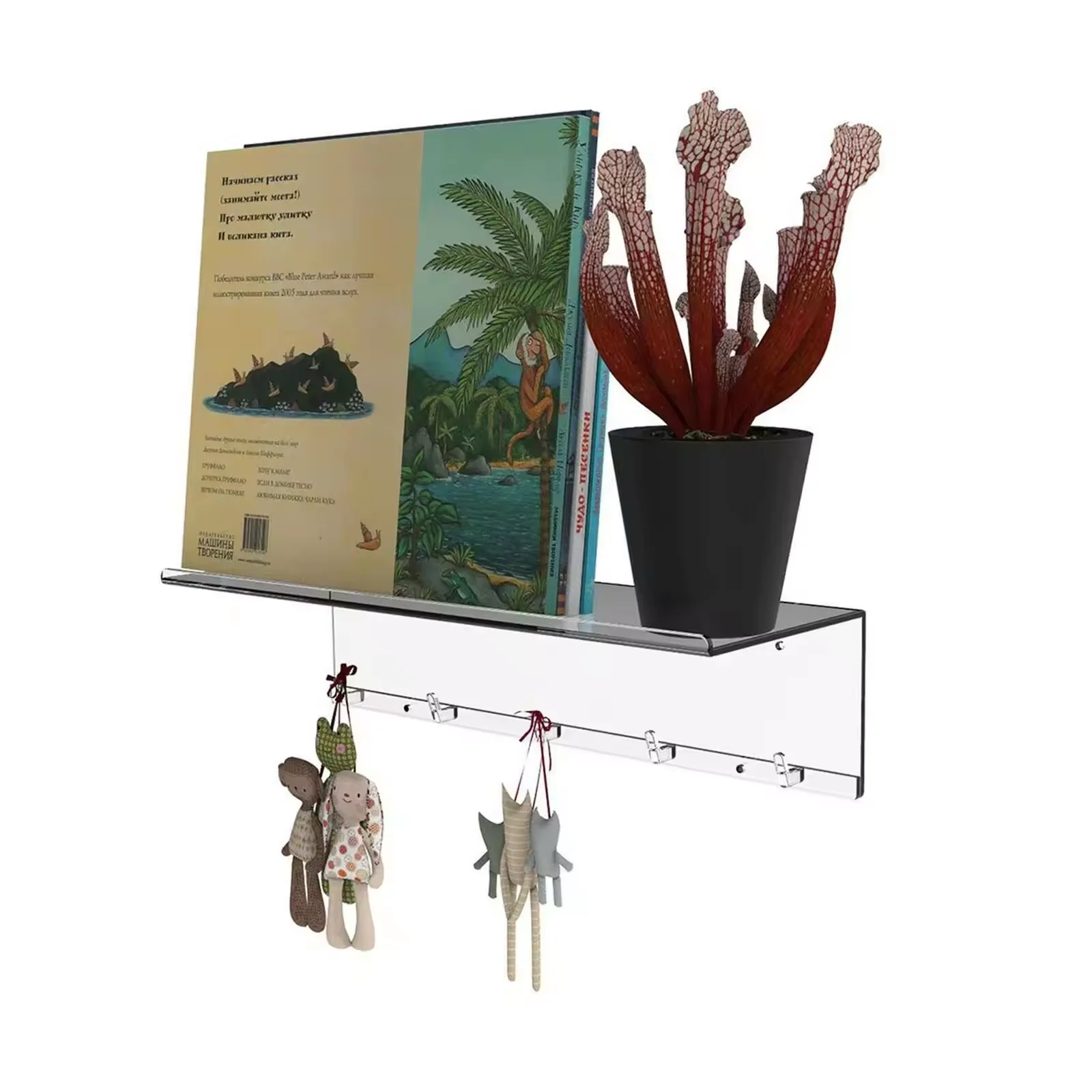 Clear Floating Acrylic Shelves Display Ledge Wall Mounted Shelves With ...