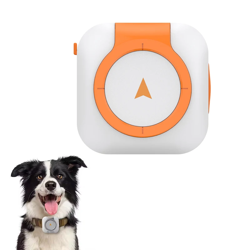 Smart Pet Health Care Devices Vitals Health Detector Wearable Pet ...