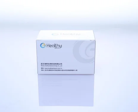 Healthybiotech Real-time Pcr Gene Test Kit Gastric Carcinoma Reagent ...