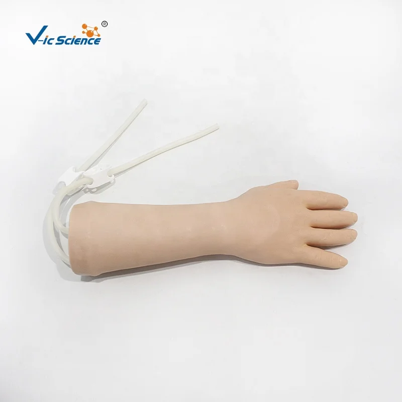 Iv Training Hand Arm Venipuncture Arm Injection Model Forearm ...