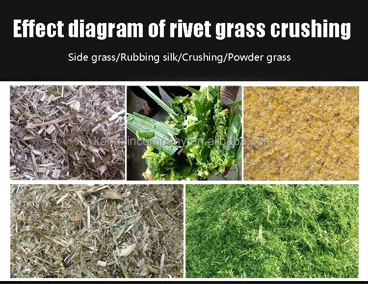 Multifunctional Grass Corn Chaff Cutter Cattle Pig Grinder Cow Crushing ...