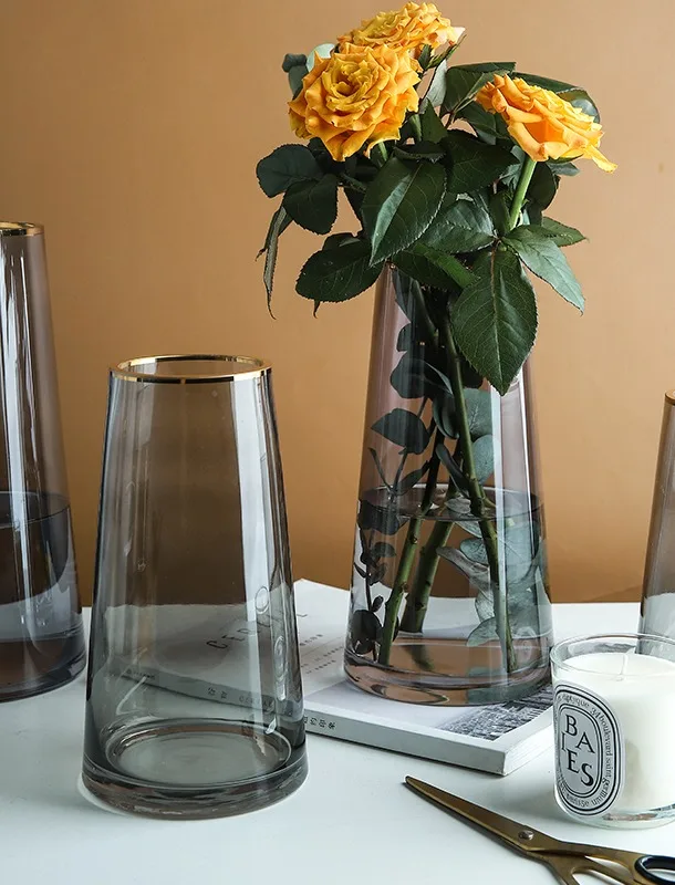 Nordic Luxury Glass Flower Vase Golden Rim Tabletop Hydroponic Plant ...