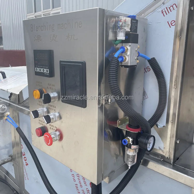 Potato Boiler Machine - Efficient Food Blanching Solutions