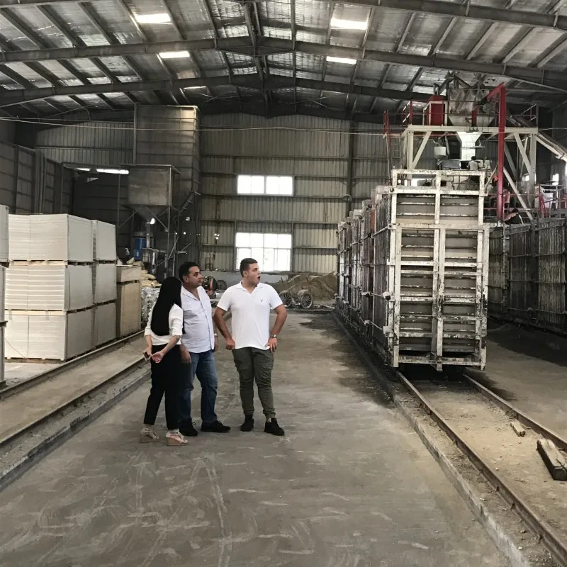 ESP Insulated Concrete Form EPS Cement Foam Wall Panels