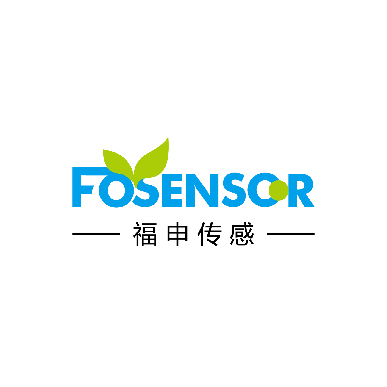 Company Overview Henan Fosen Electronics Technology Co Ltd Company Overview Henan Fosen Electronics Technology Co Ltd