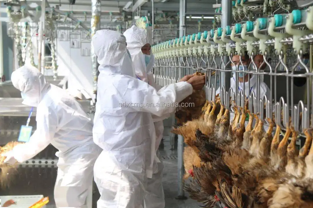 1000/hour Chicken Slaughter Line - High Efficiency Poultry Processing