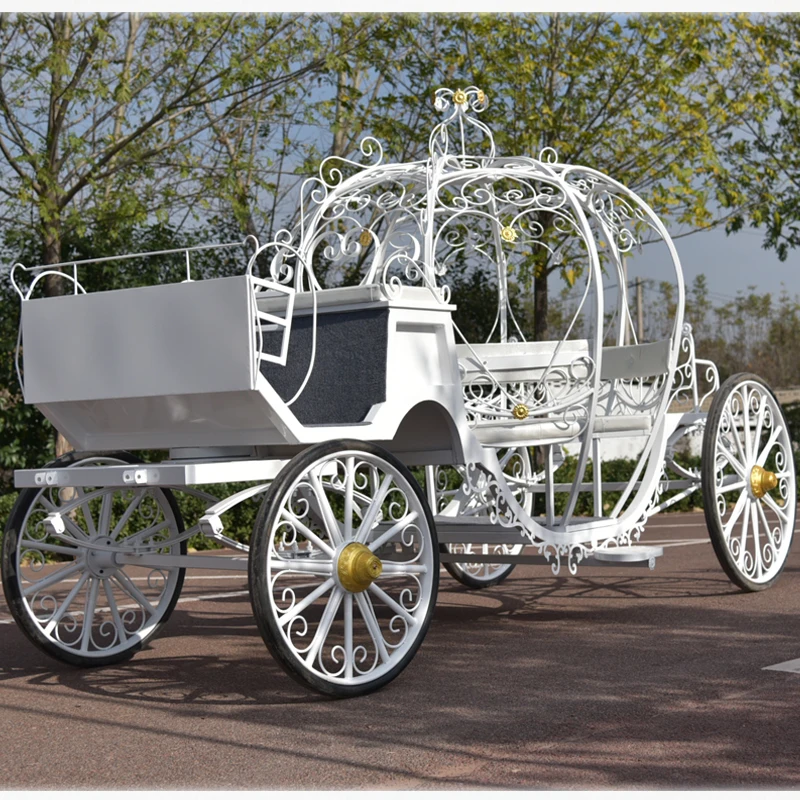 Sightseeing White Wedding Horse Carriage Tourist Cart Wagon Bridal ...