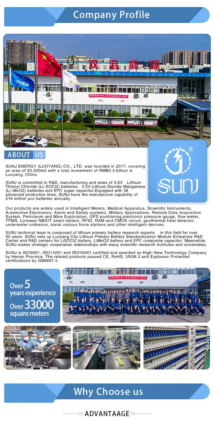 Alarm Limno2 Lithium 9v Primary Li-mno2 Non Rechargeable Battery Cr9v ...