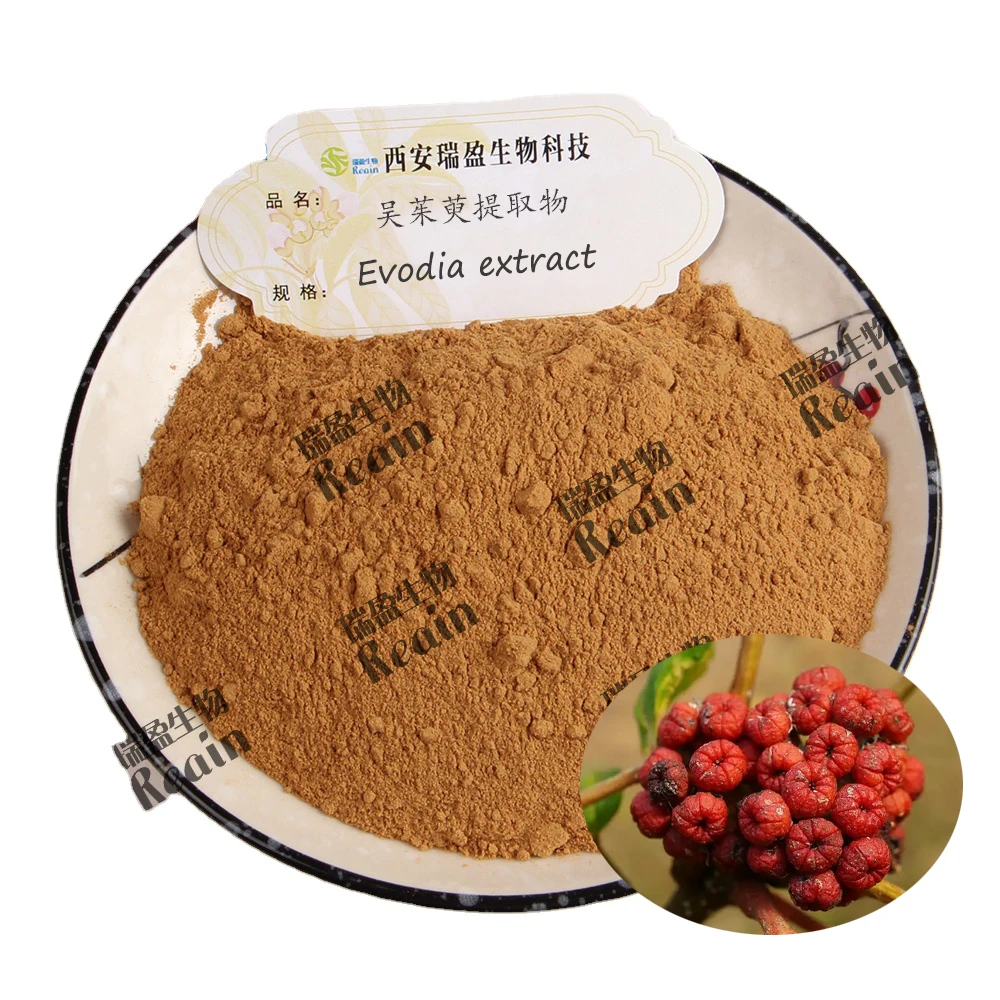 Pure Herbal Euodia Rutaecarpa Benth Extract Evodia Rutaecarpa Fruit ...