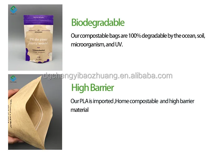 Custom 100% Biodegradable Kraft Paper Pouch for Food Packaging