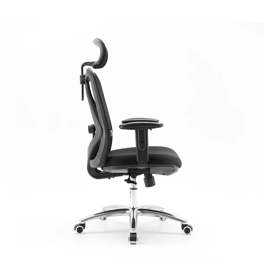 Guangzhou Sihoo Computer Ergonomic Luxury Modern Executive Back Support ...