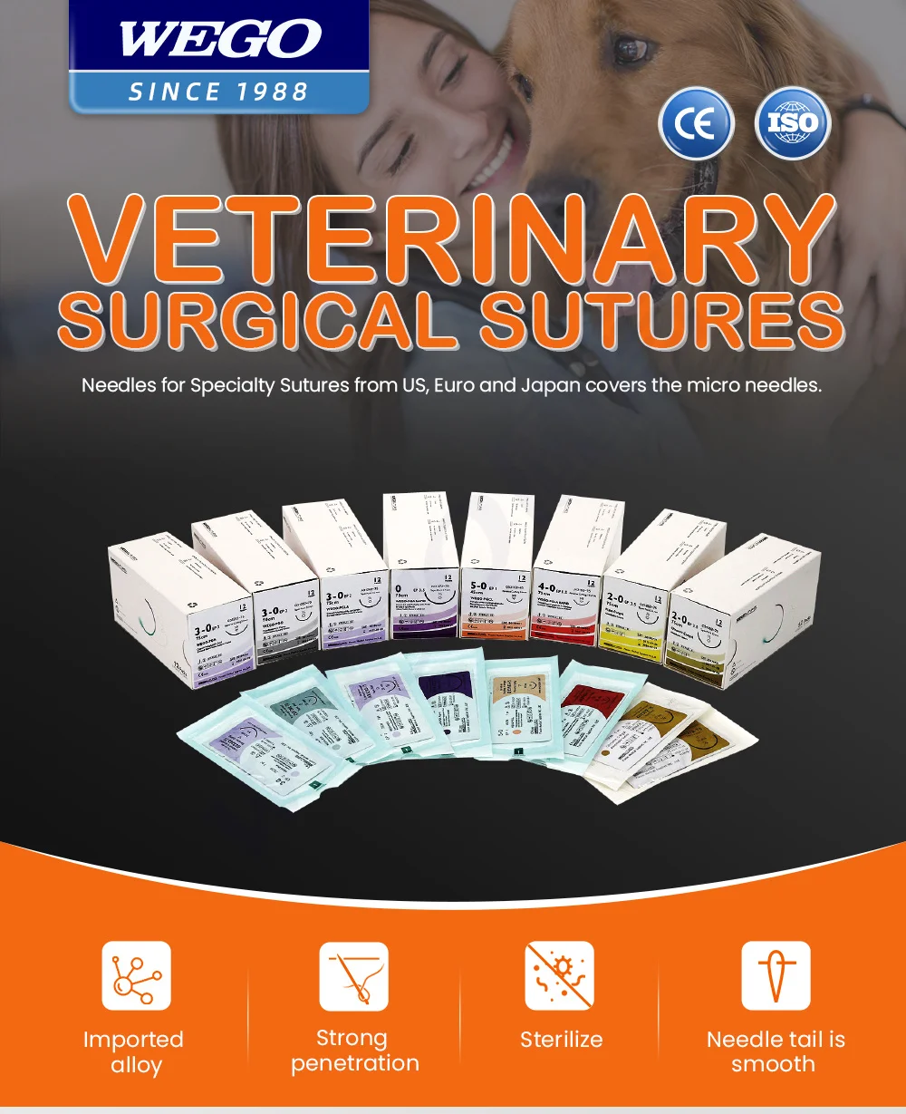 Pga Pet Sutures Disposable Surgical Sterilized Suture Medical ...
