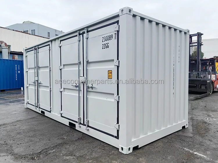 20ft Dry Cargo Container with Multi-Sided Doors - Corten Steel