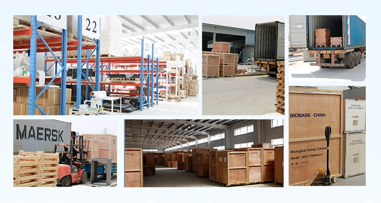 Biobase Laboratory Gc Fid Detector Chromatograph Column Portable Gas ...