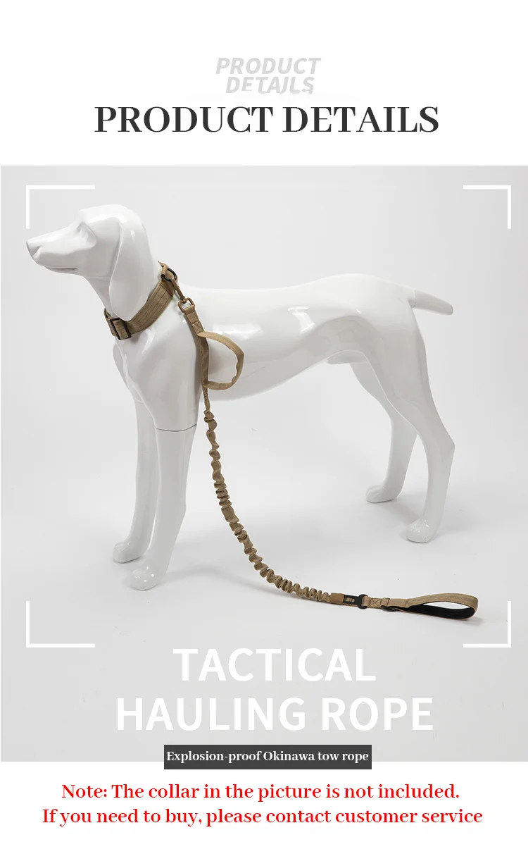 Custom Logo Dog Collars & Leashes Set With Car Seat Belt Leash - Odm