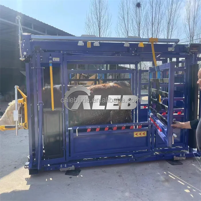 Cheap Price Bespoke Crush Movable Horse Building Stable