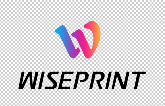 Company Overview - Zhongshan Wise Print Technology Co., Ltd.