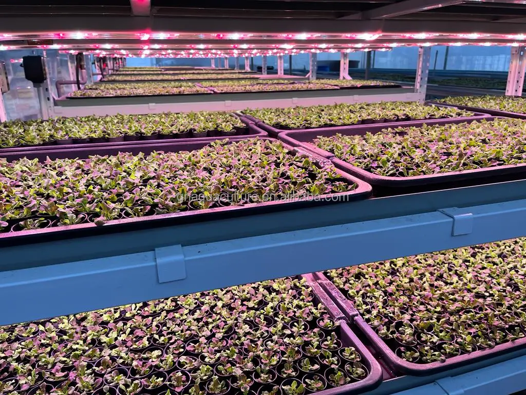 Greenhouse Ebb And Flow Table Rolling Benche Hydroponic System Grow ...