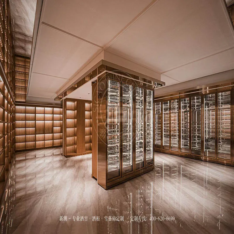 Contemporary Modern Cantina Cave Wine Cellar Display Fridge