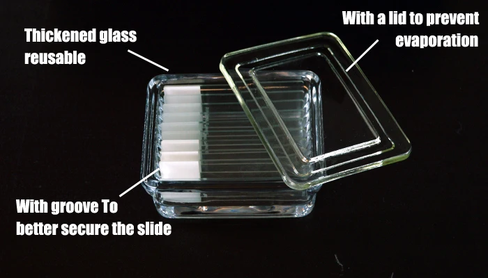 10 Pcs- Histology Pathology Microscope Lab Supplies Slide Glass ...