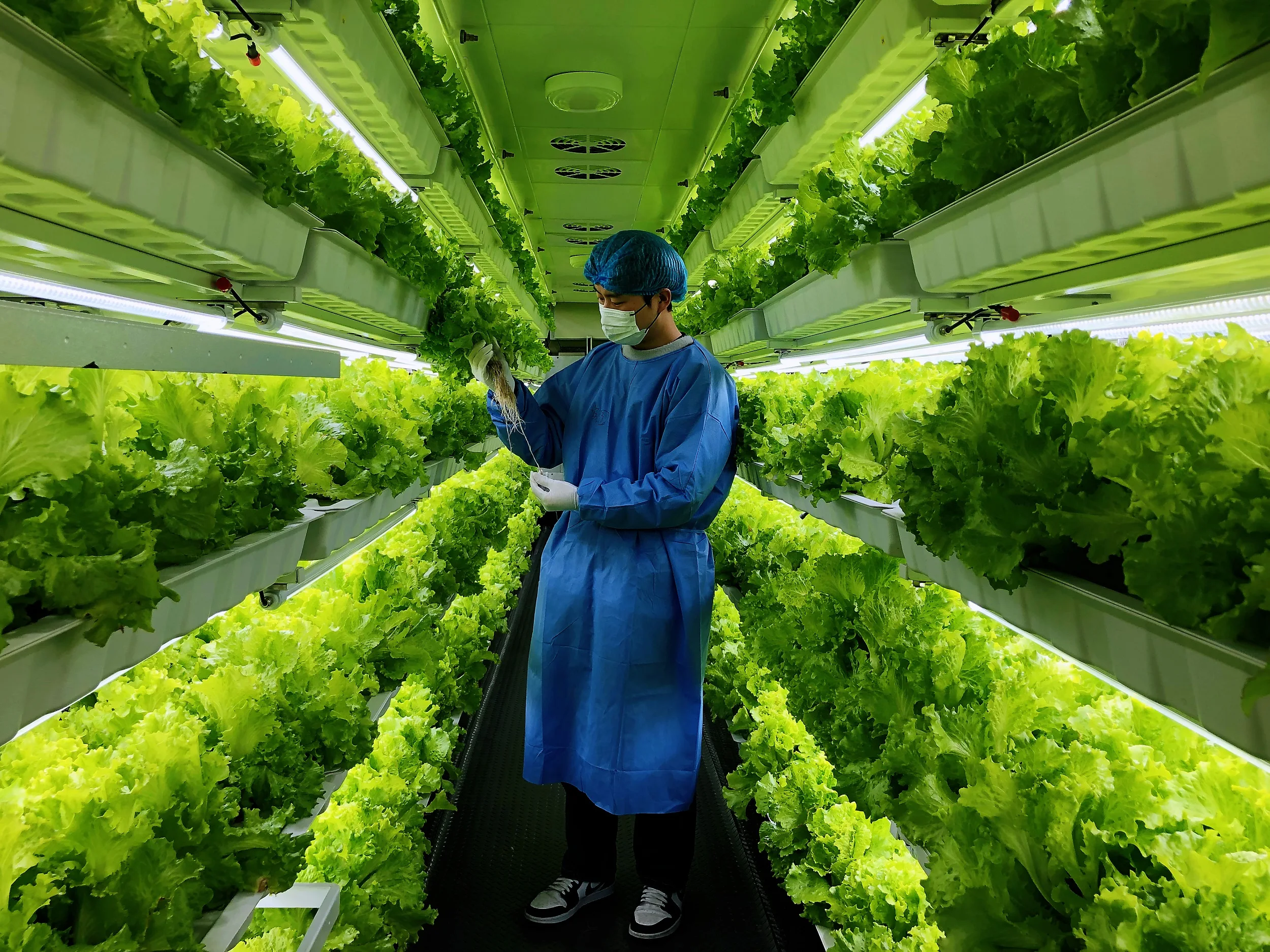 Vertical Hydroponic Shipping Farms - Best Quality 40ft Containers