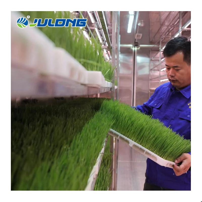 Shipping Container Farm Vertical Farming System Hydroponic Fodder Grass ...