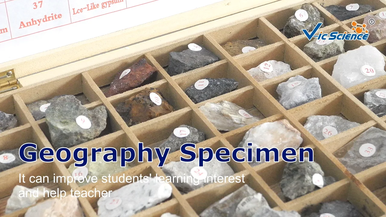 Metamorphic Rock Samples Mineral And Rocks Specimen For Sale - Buy ...