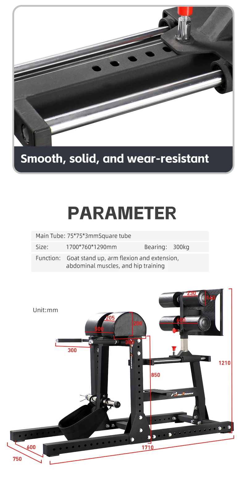 Rectus Abdominis Muscle Exercise - Prone Reverse Leg Lift