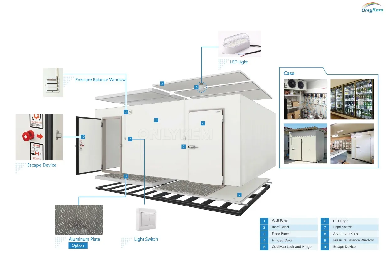 20ft Container Freezers - Efficient Cold Storage Solutions