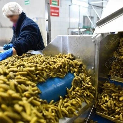 LWT Pickled gherkins cucumber production processing line machine| Alibaba.com