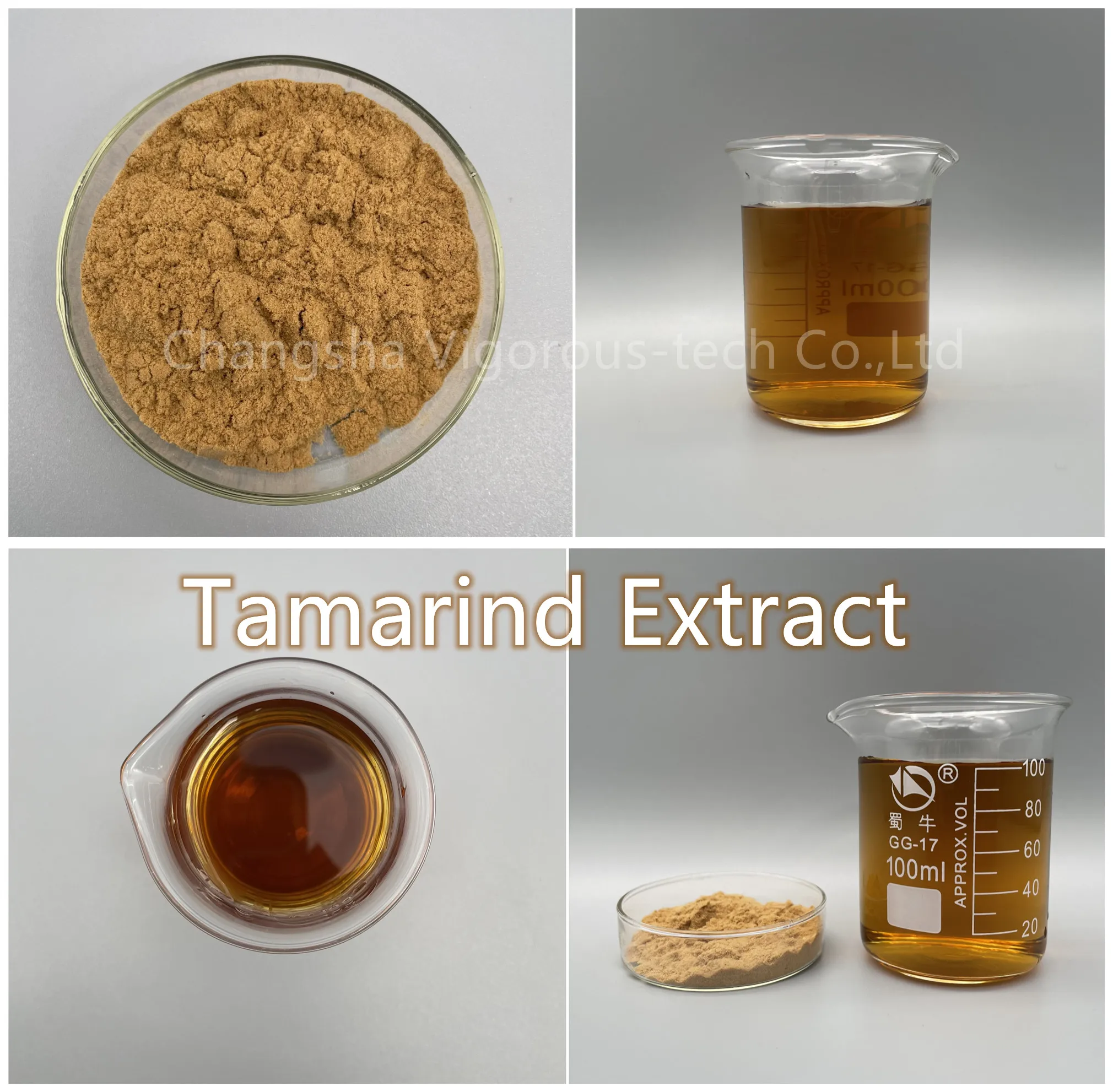 Organic Pure 4:1 Dried Tamarind Seeds Extract Powder