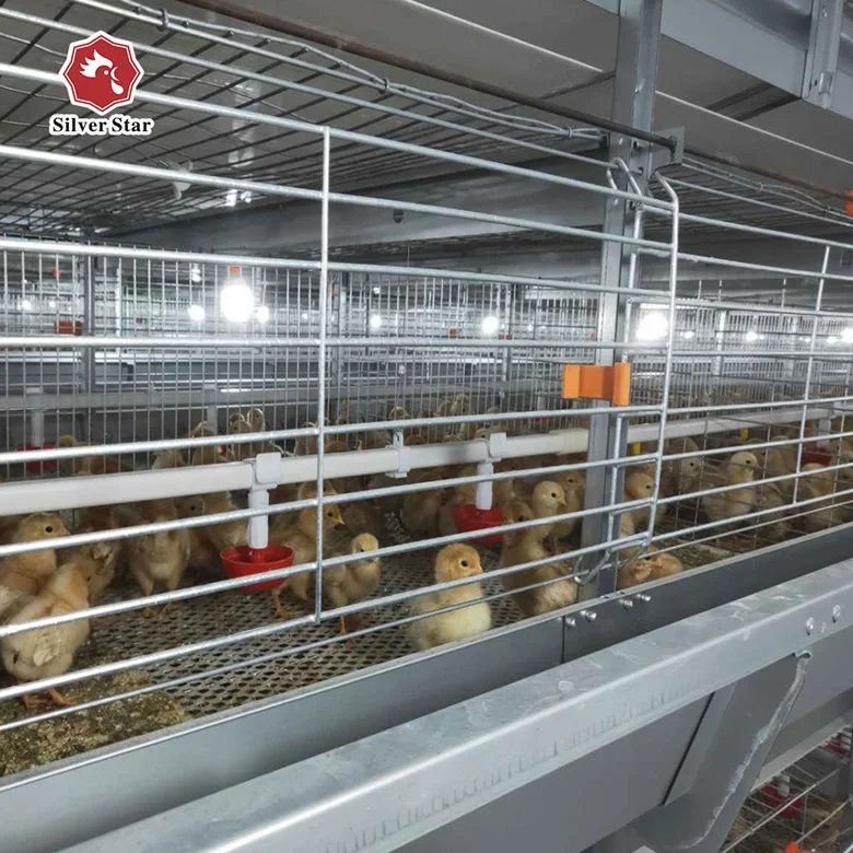 Broiler Poultry Farm House Design Folding Chicken Cage/multi-tier ...