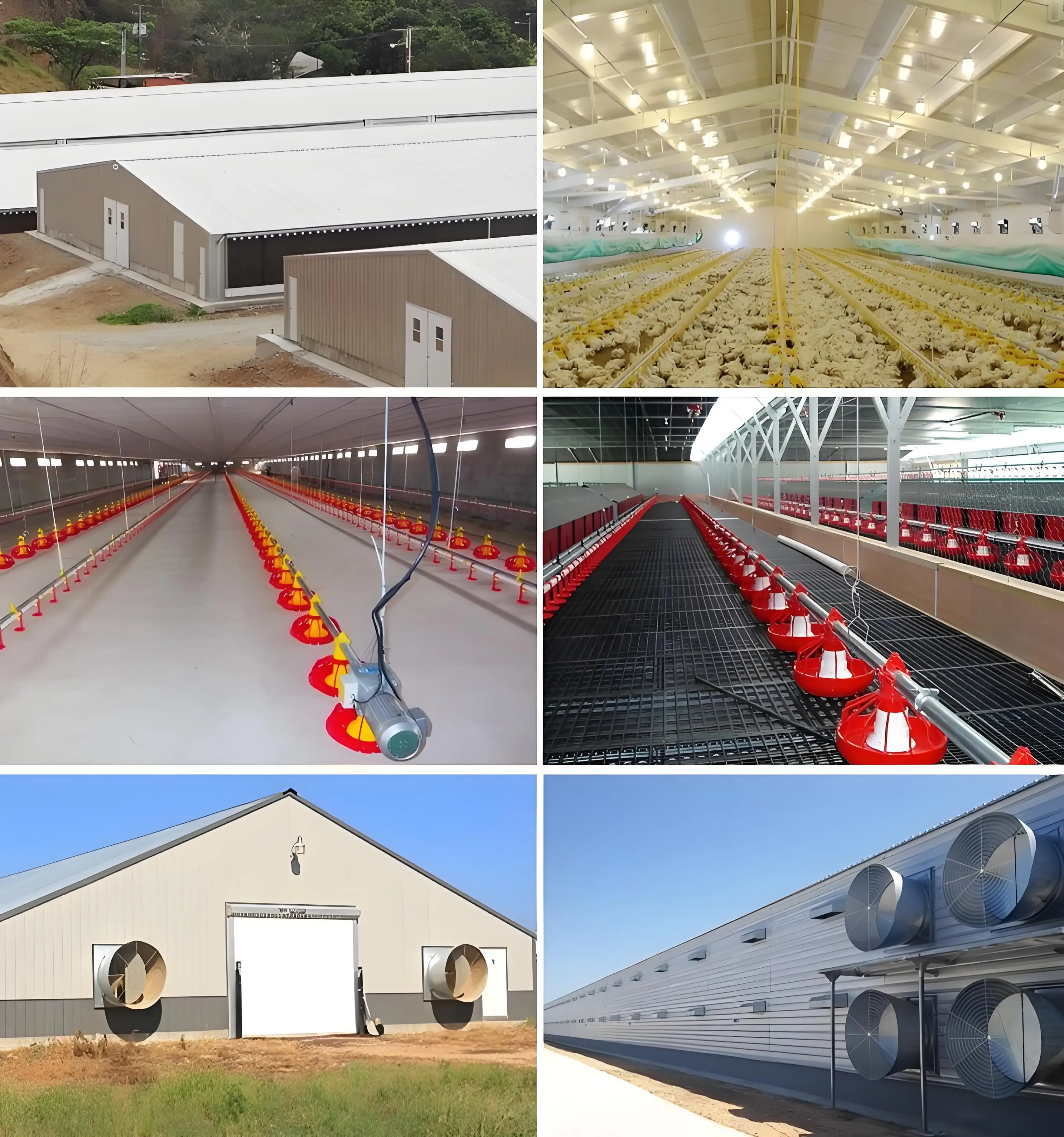 Smart Poultry Farming Shed - IoT Controlled Feeding/Watering/Lighting ...