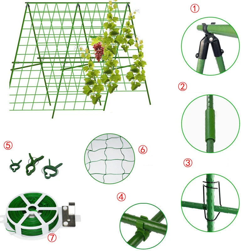 Durable Triangular Garden Trellis for Climbing Plants - OEM Available